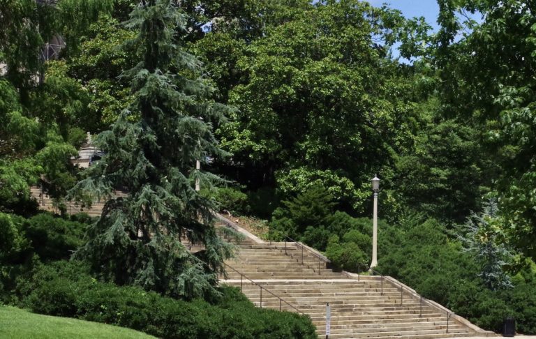 Pilgrim Steps - All Hallows Guild