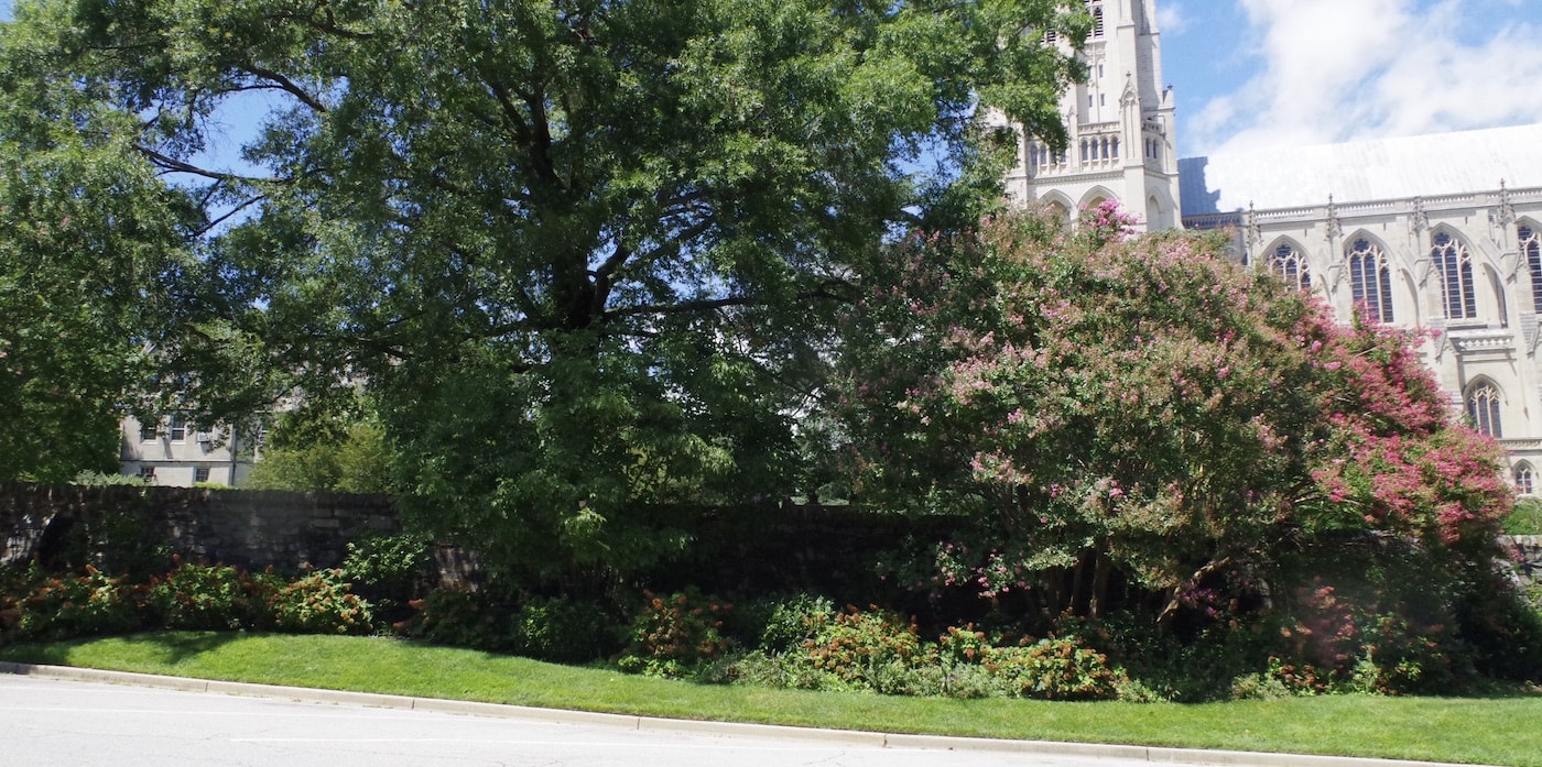 Pilgrim Road Bed - All Hallows Guild