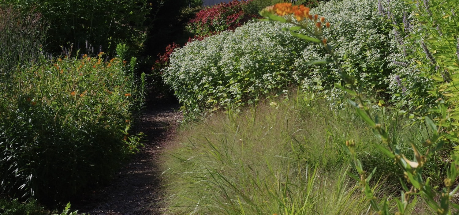 Pollinator Garden - All Hallows Guild
