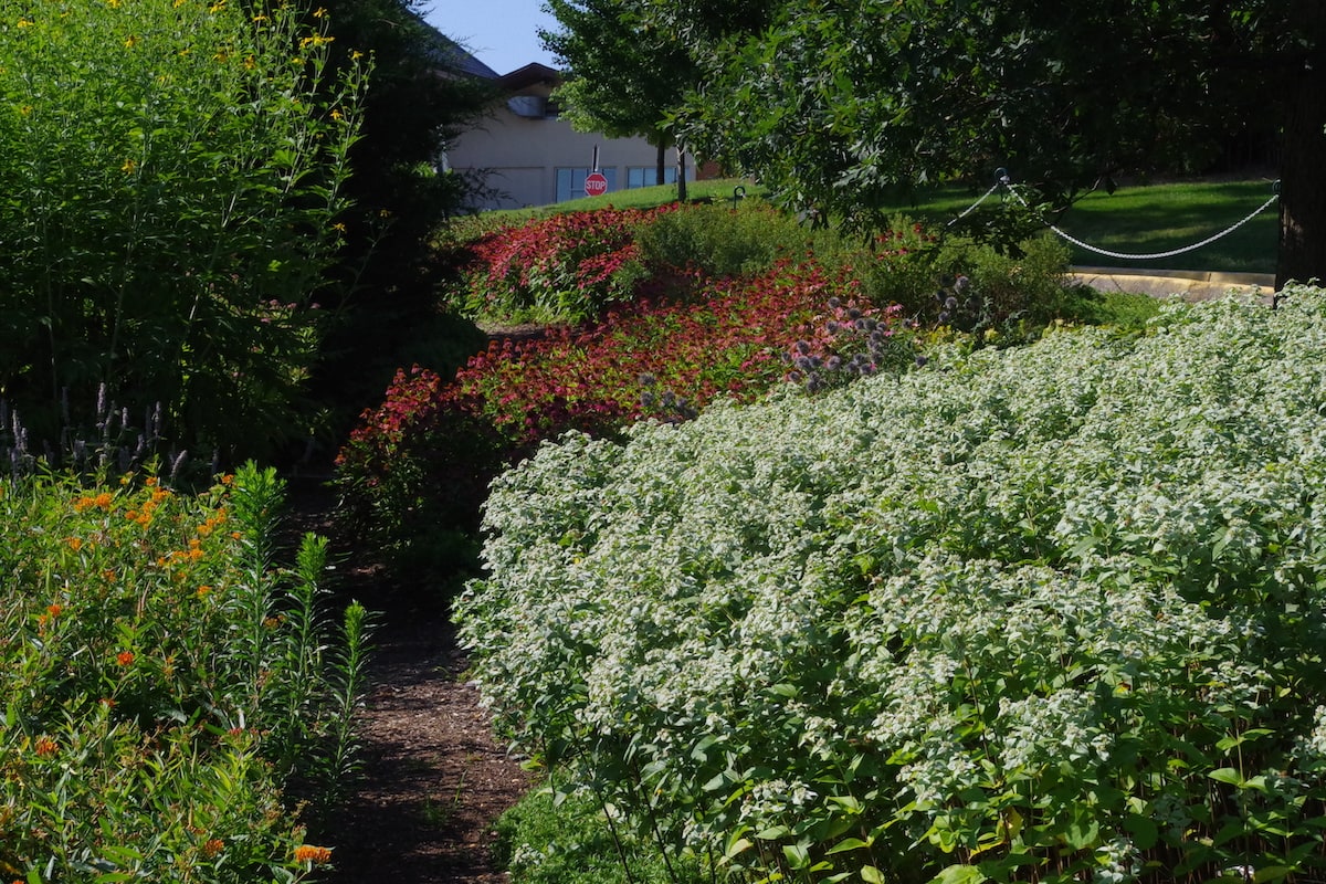 Pollinator Garden - All Hallows Guild