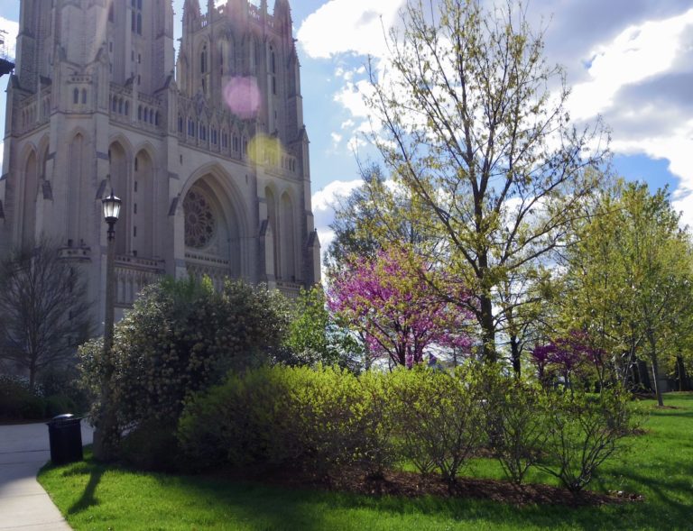 Cathedral Garth Garden and Fountain - All Hallows Guild